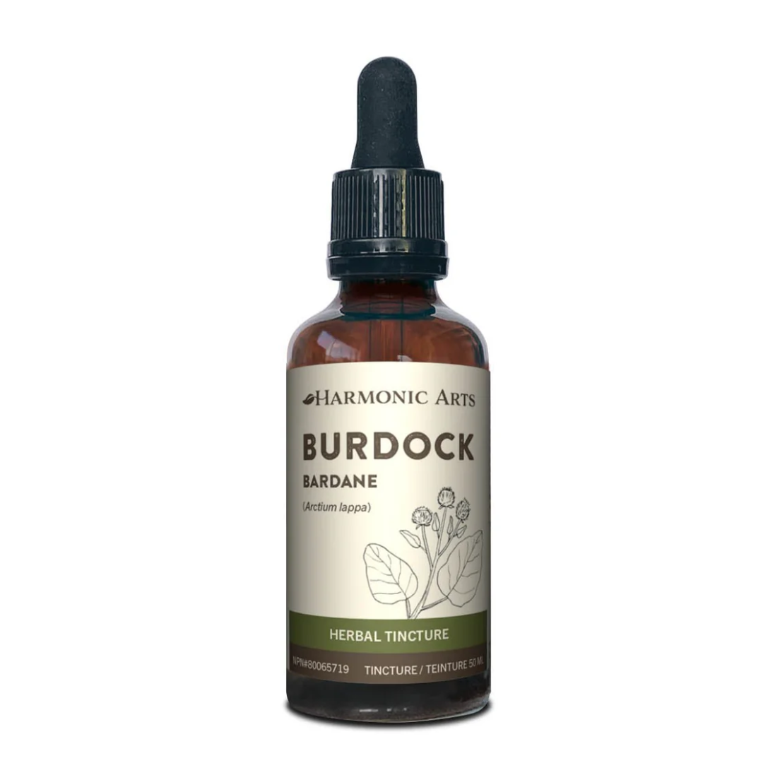 Harmonic Arts Burdock Tincture 100ml – Saskatoon Herbs 'n Health